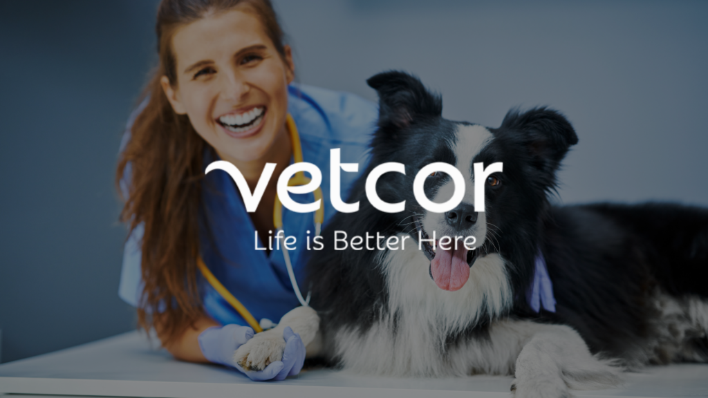 How Vetcor Scaled Marketing for 900 Locations with Just 7 People